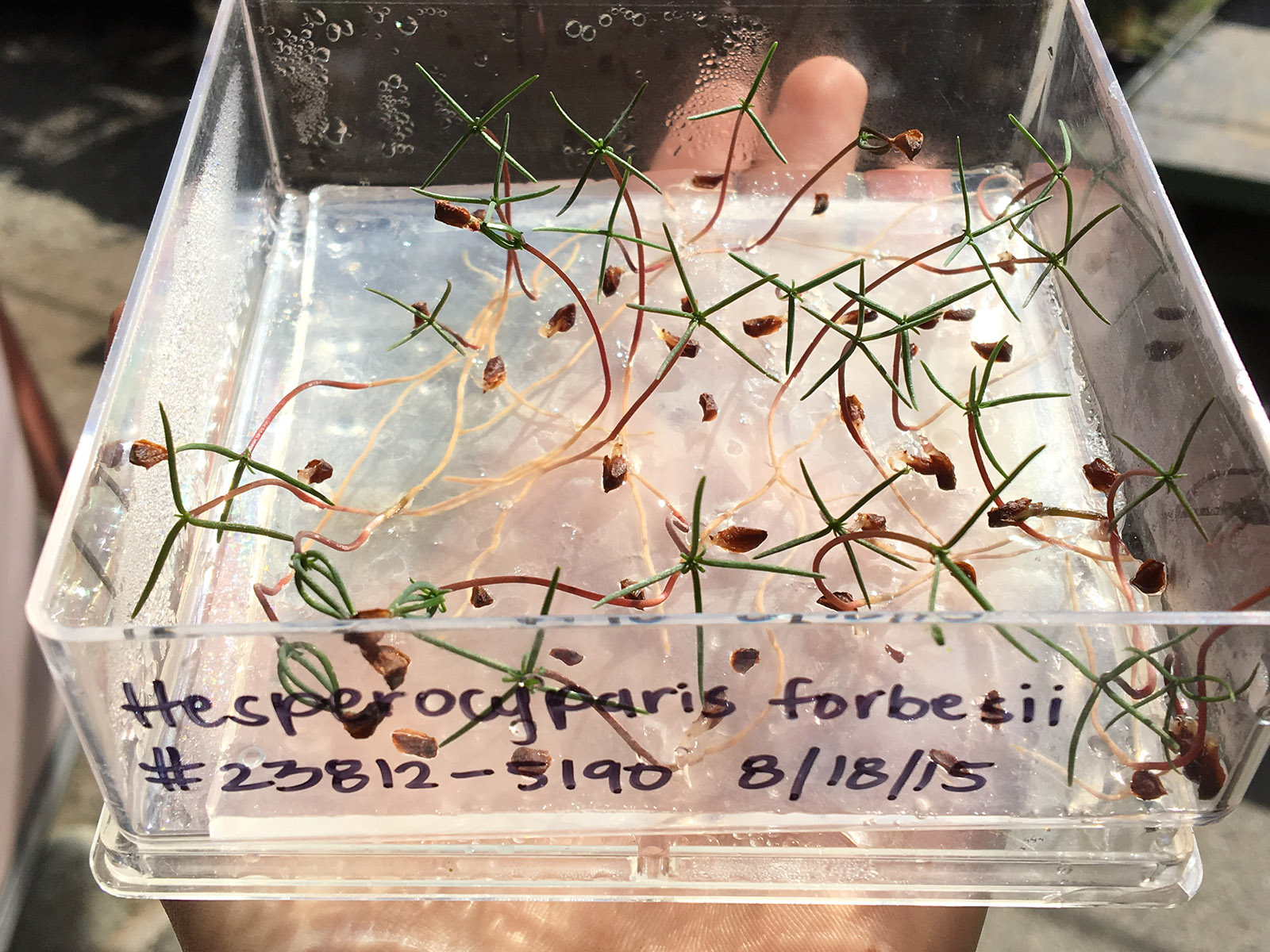 Seed Conservation